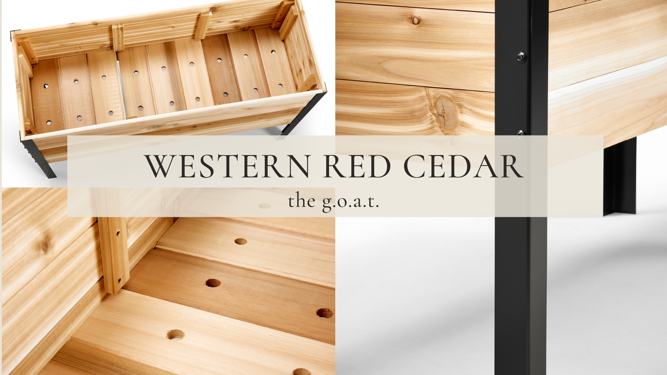 Why Western Red Cedar is the G.O.A.T. – Cedar Planters Japan - アース エレベート