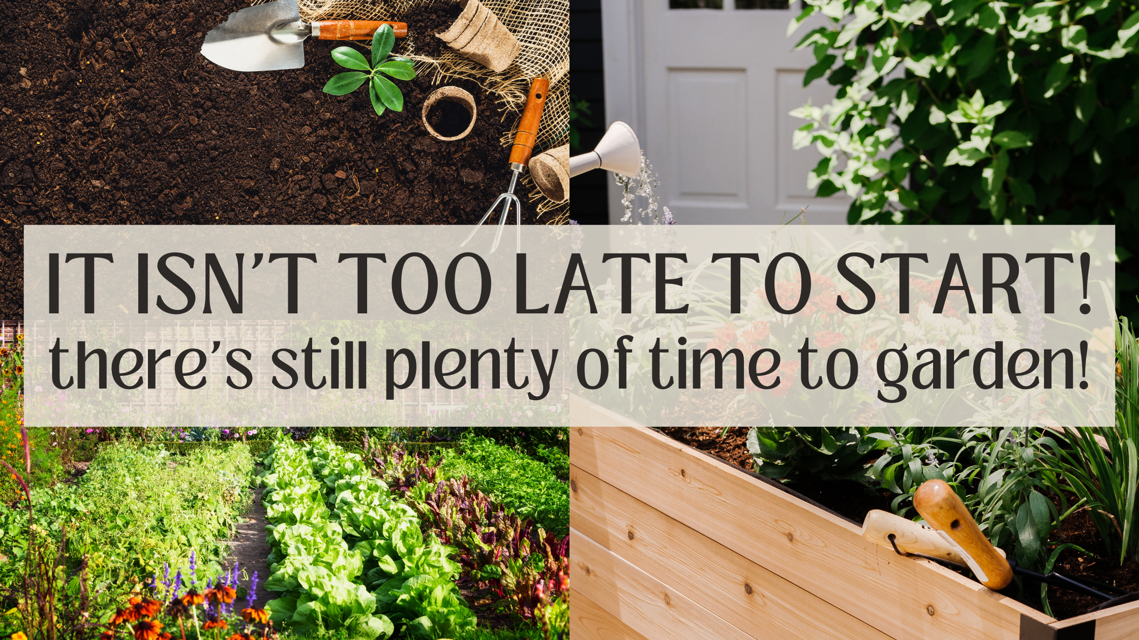 It's not too late to start gardening! – Cedar Planters Japan - アース エレベート